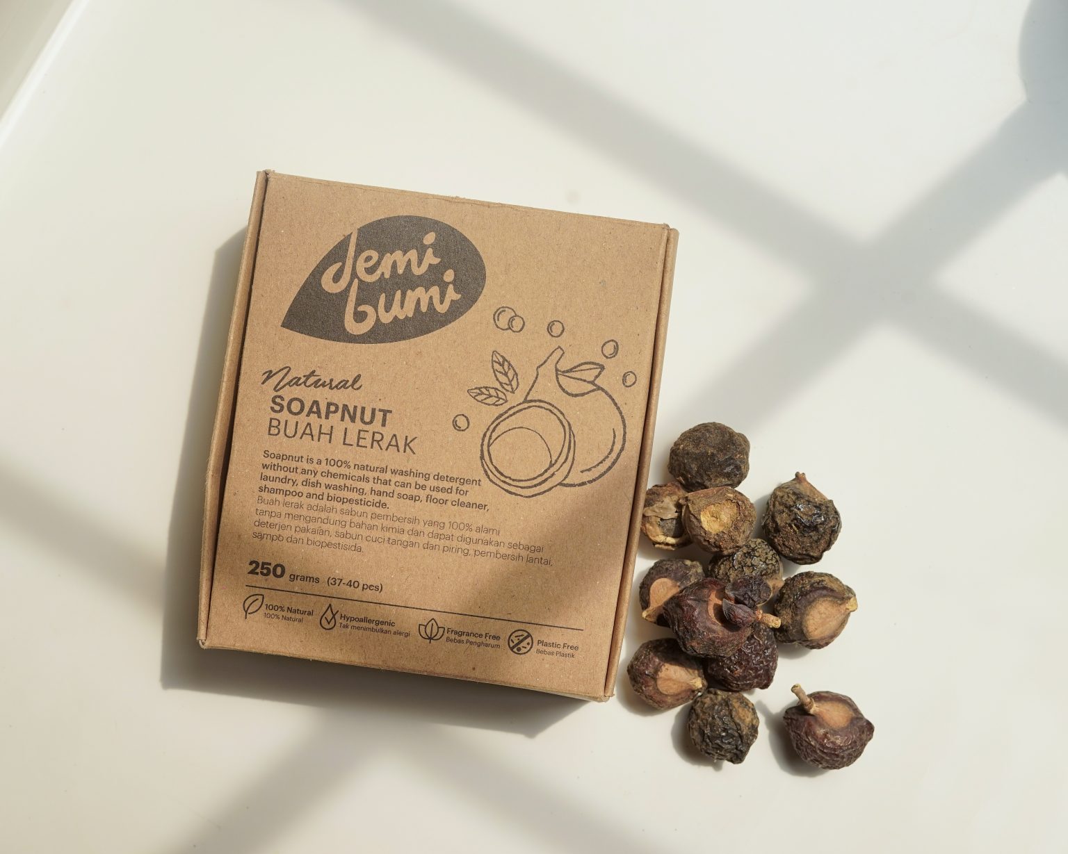 Buah Lerak / Natural Soap Nut – demibumi.id