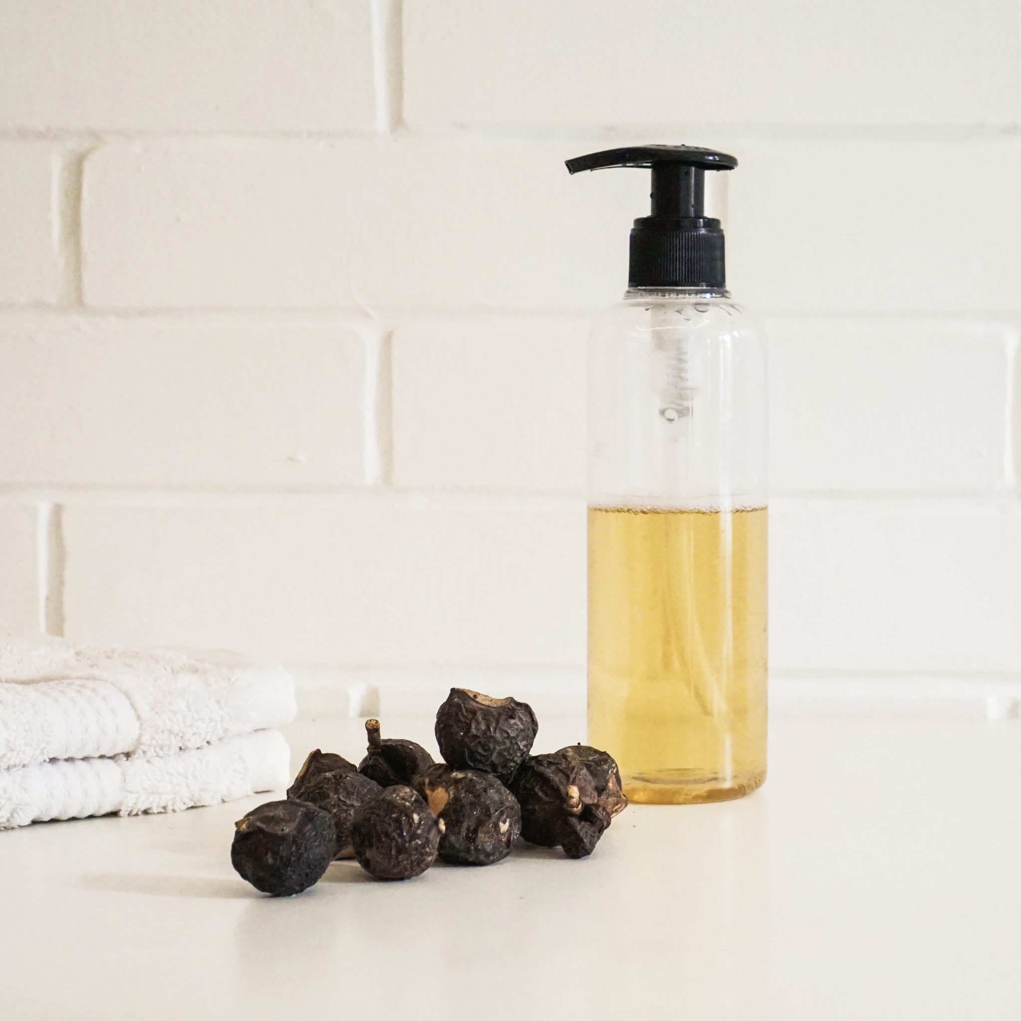 Buah Lerak / Natural Soap Nut – demibumi.id