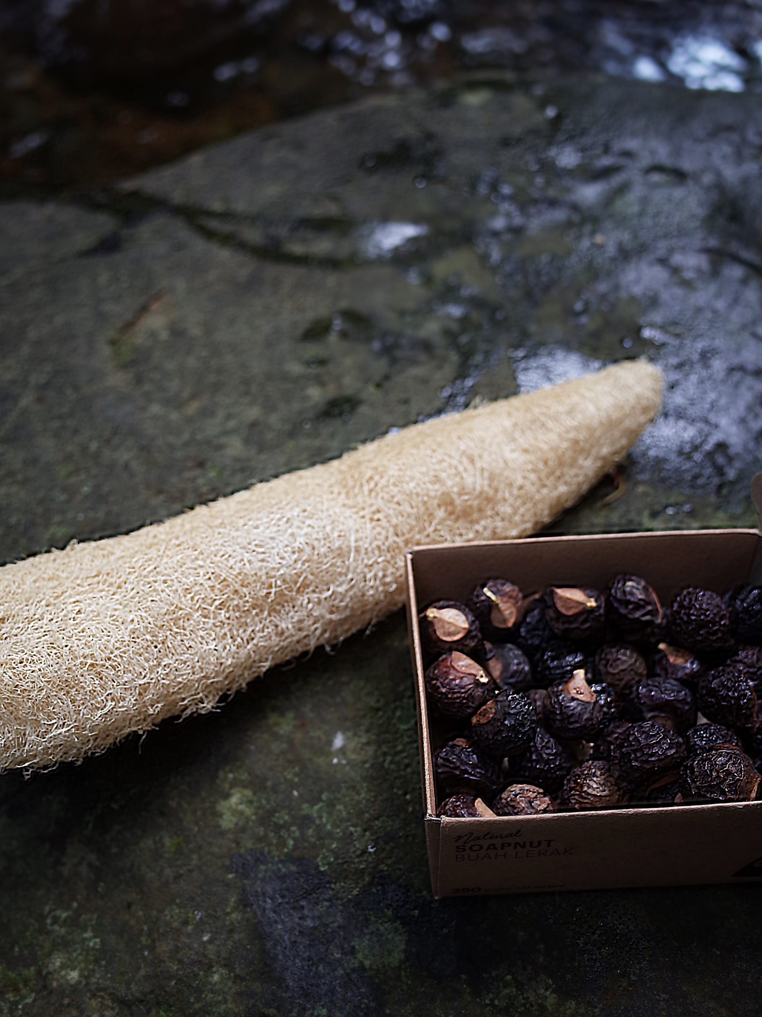 Buah Lerak / Natural Soap Nut – demibumi.id