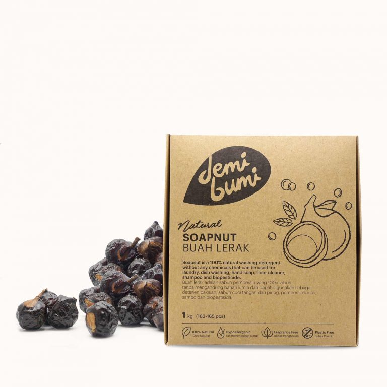 Buah Lerak / Natural Soap Nut – demibumi.id